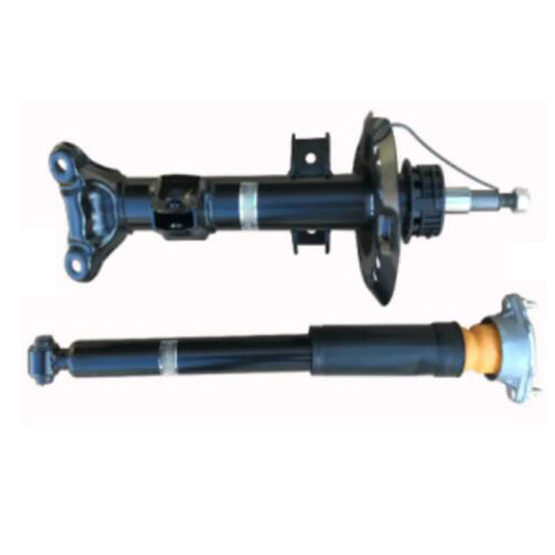 Front & Rear Shock Absorber 2123231400 2123264600 2123200630 212320463 ...